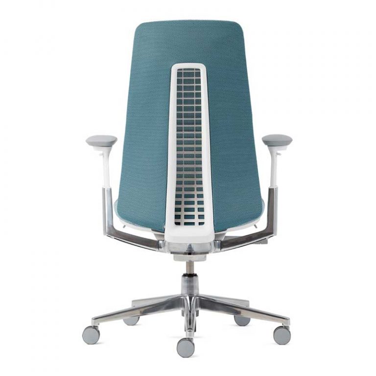 Fern | Alpha.lk Online Shop